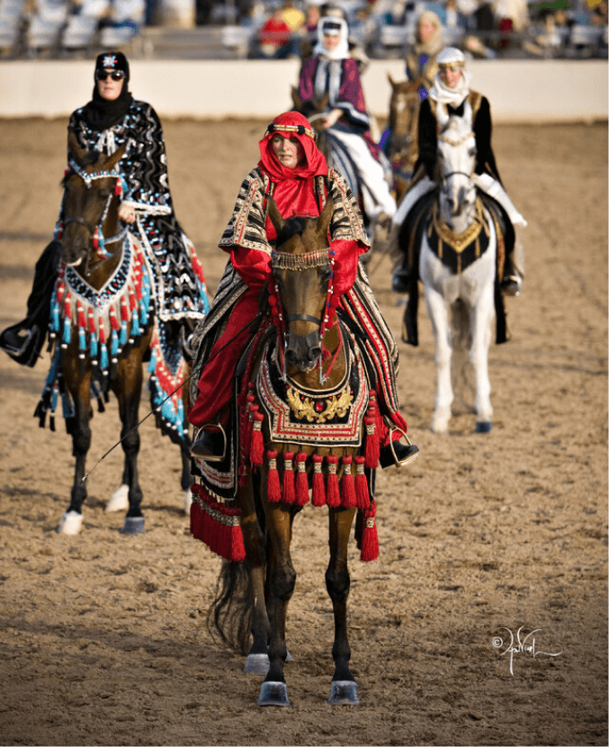 Tony Nelssen Equestrian Center - WestWorld of Scottsdale