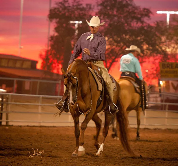 Facilities at WestWorld of Scottsdale | Event Venue & Equine Arena